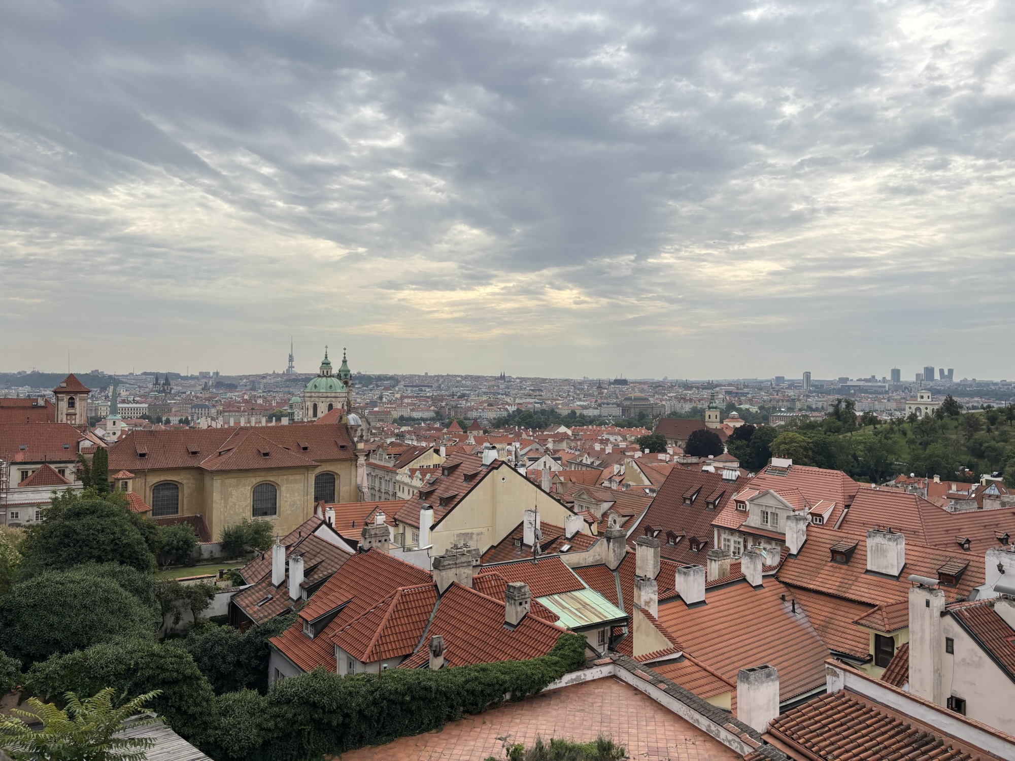 Peacock and Swan Lake – Binder Family Travel Adventures